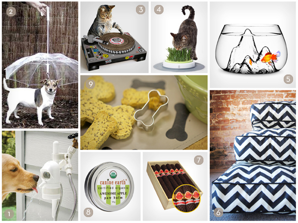 9 Best Pet Products for Your Furry Friends