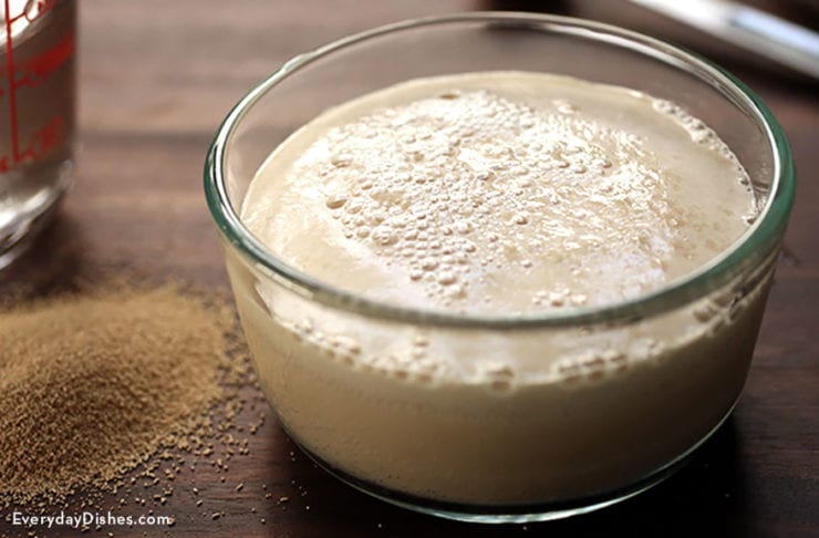 Baking Tips: How To Activate Dry Yeast Video